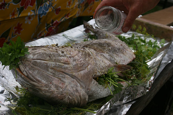 The "grunting" Fish of the Gironde estuary : the Meagre ! - Le blog du ...